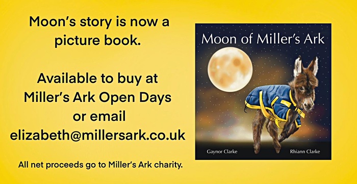 Miller's Ark Animals